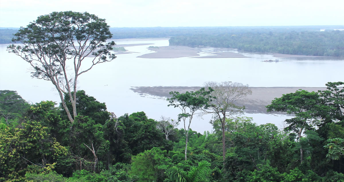 Parque Nacional Yasuní, Ecuador. La joya de la biodiversidad